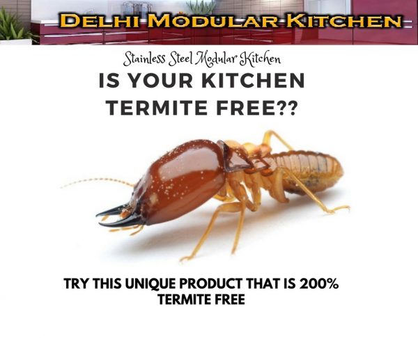 Termite Free Modular Kitchens Price & Designs | Stainless Steel Kitchens